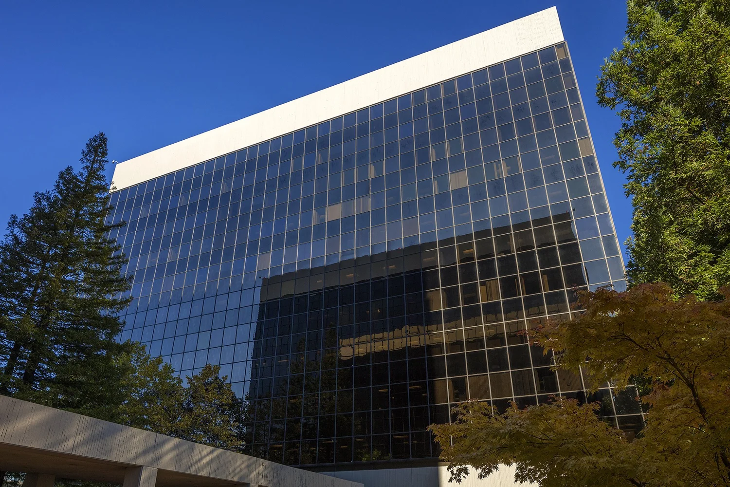 Campus — International Place