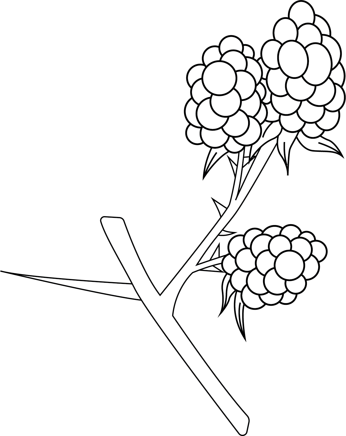 Bramble and Bird Consulting