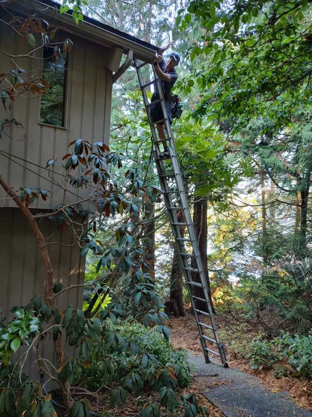 Handyman Services, Bellingham, Wa — LJS Services