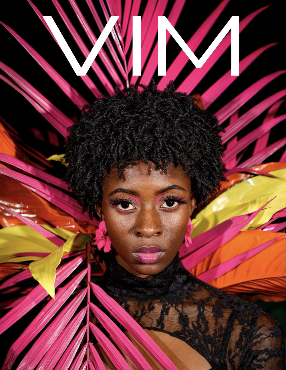 Issues — VIM Magazine