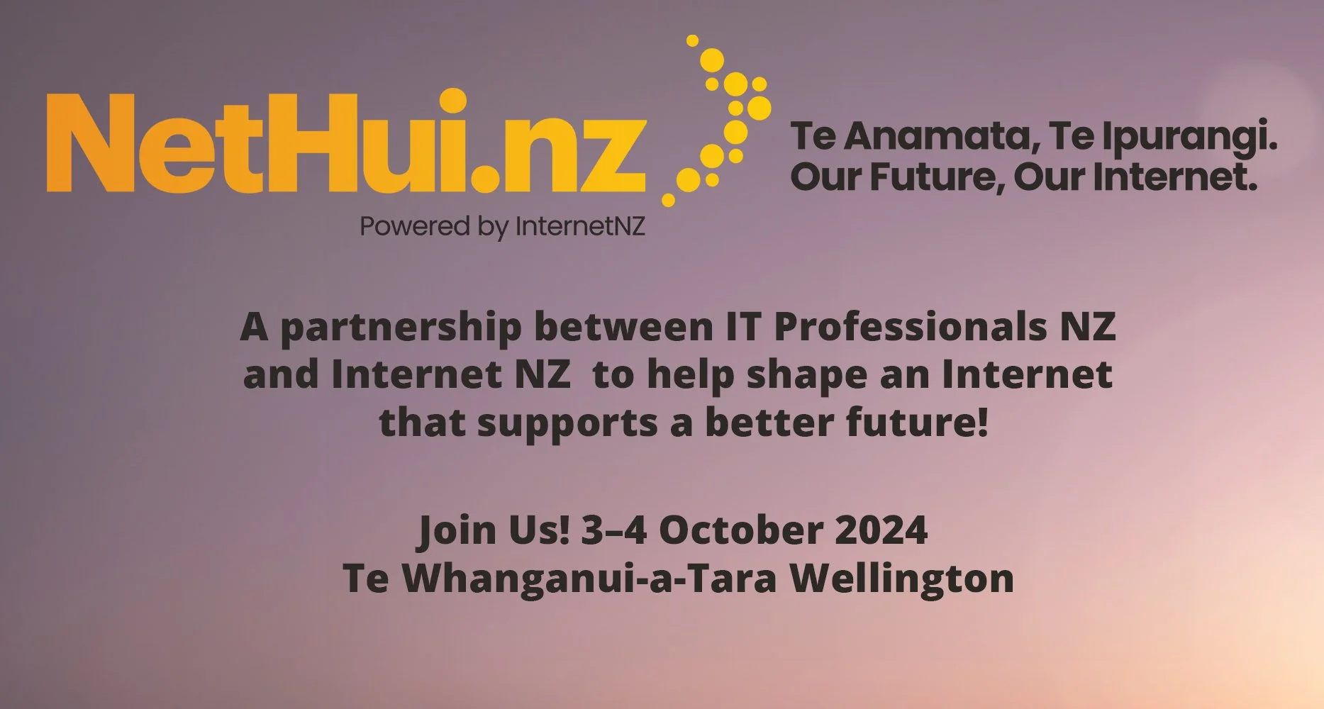 IT Professionals NZ
