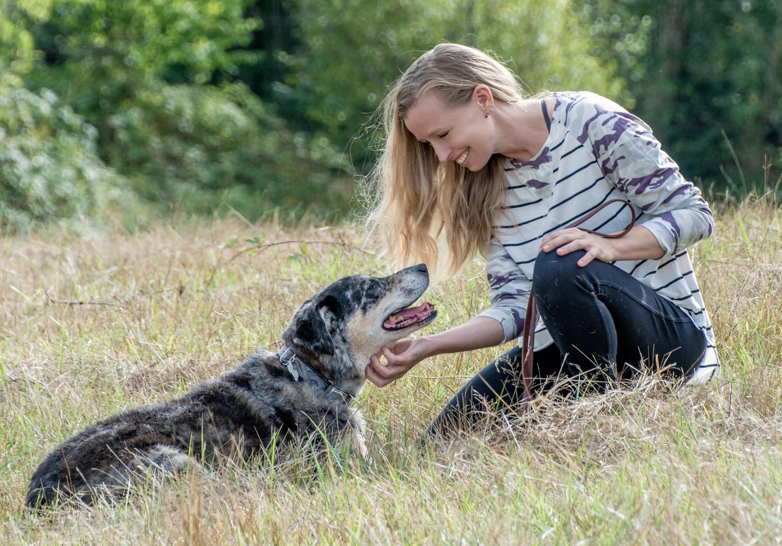 Sidekick Dog Training