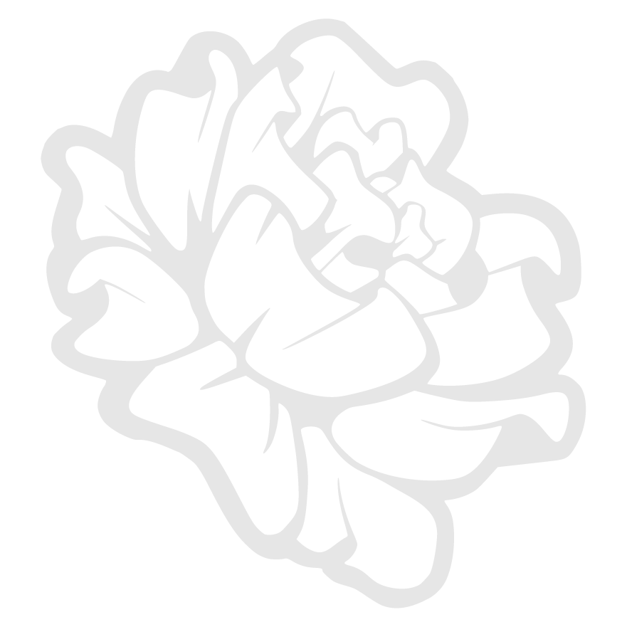 Data Collection Guidance — National Audit of Care at the End of Life