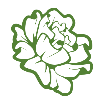 NACEL guidance — National Audit of Care at the End of Life