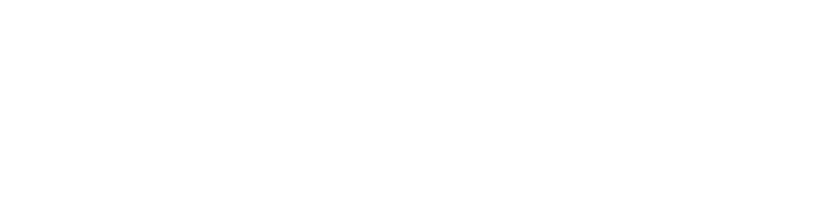 Article 25