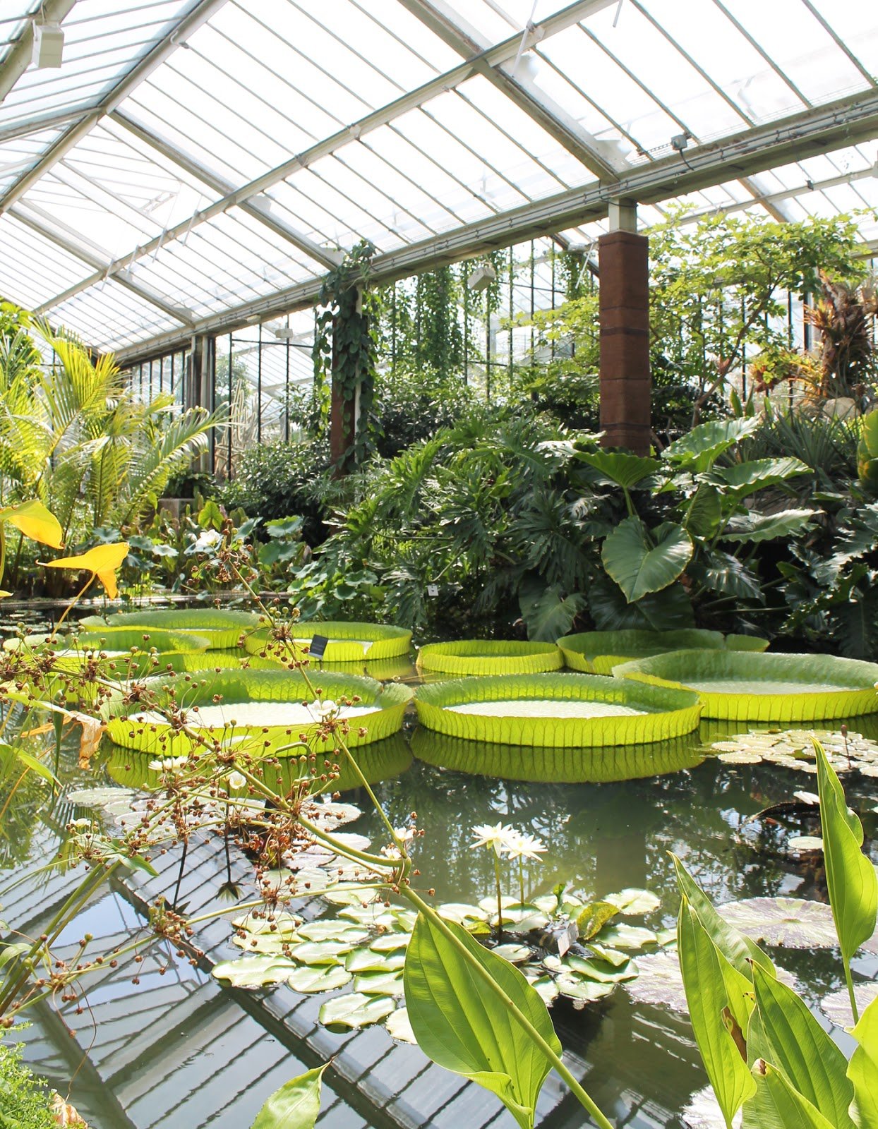 Visit Kew Gardens This Summer — Sweet Monday