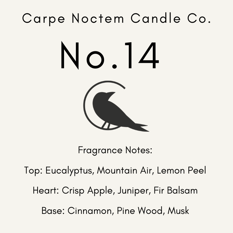 Signature Studio Collection Candles — Carpe Noctem Candle Co.