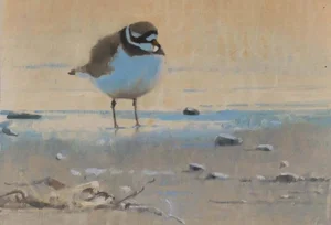 About 5 — JOHN THRELFALL