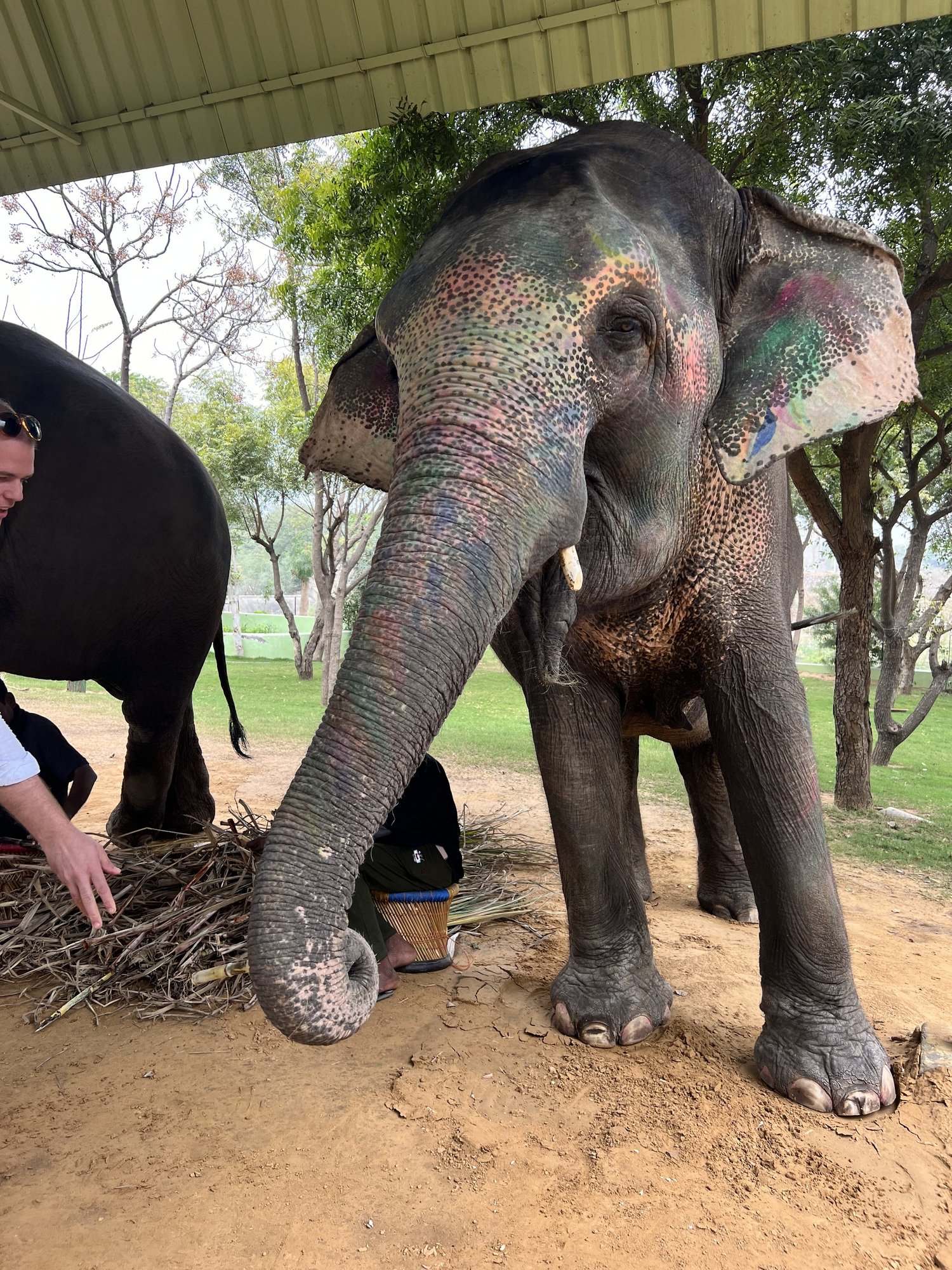 3 Days in Jaipur, India — Travel Well.Co