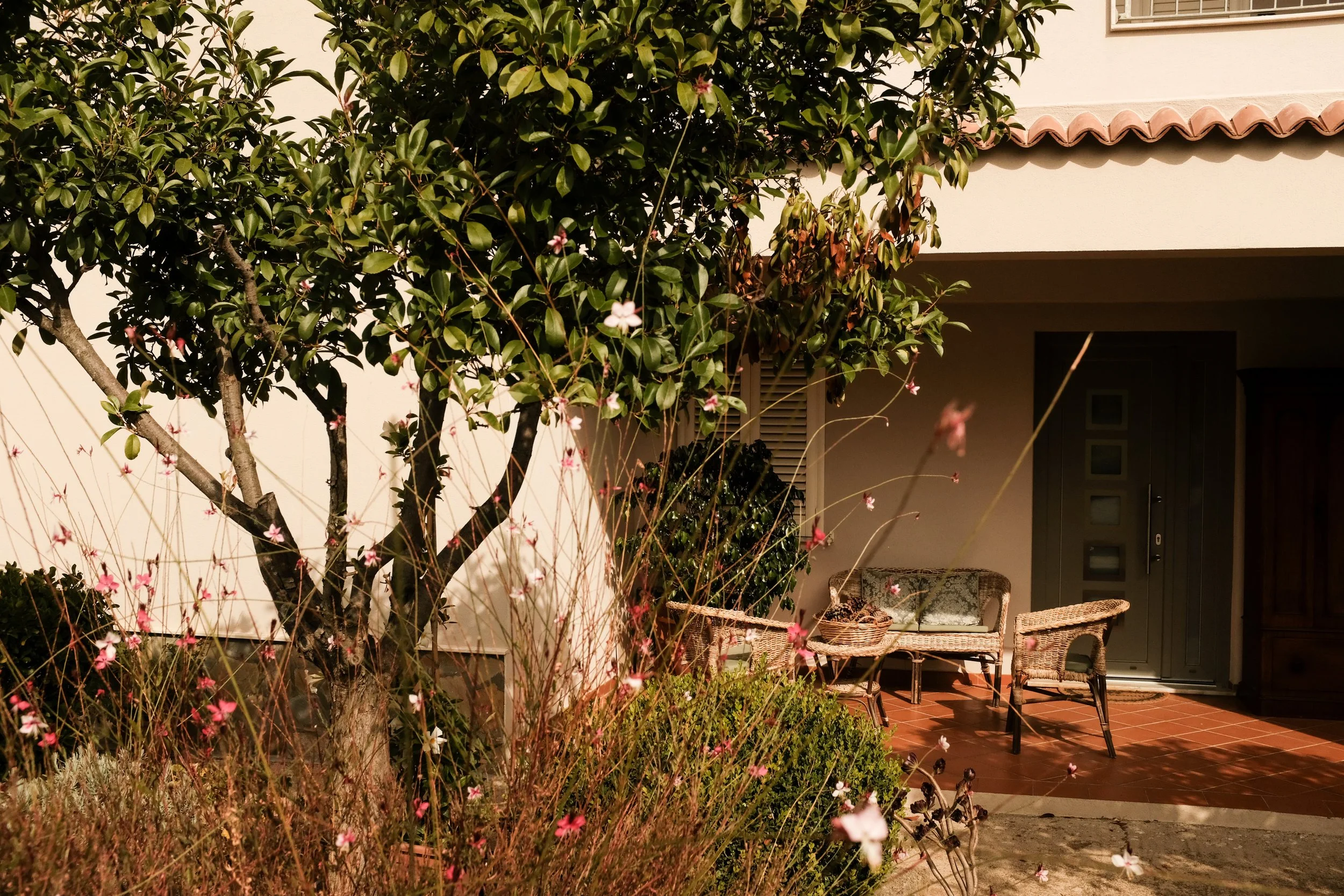 Casa Nirvana | A Beautiful Place to Stay