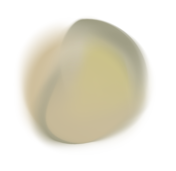 KNOW-STALGIA: design trend — TRENDS 24/25