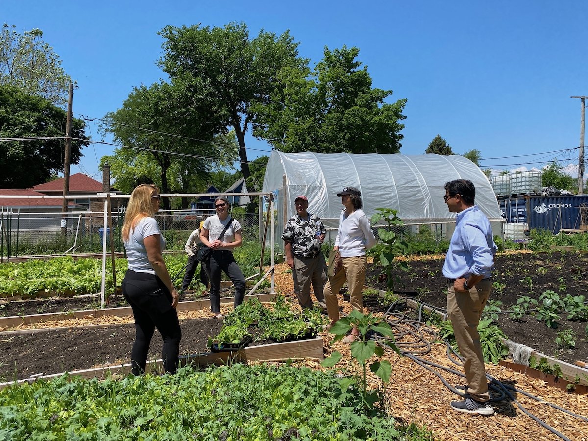 Areas of Interest — Walter S. Mander Foundation