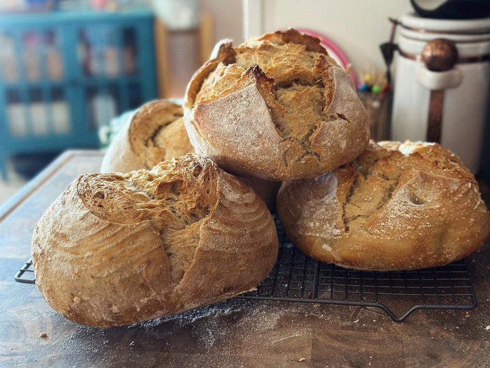 Sourdough — Alisha Nicole Wellness