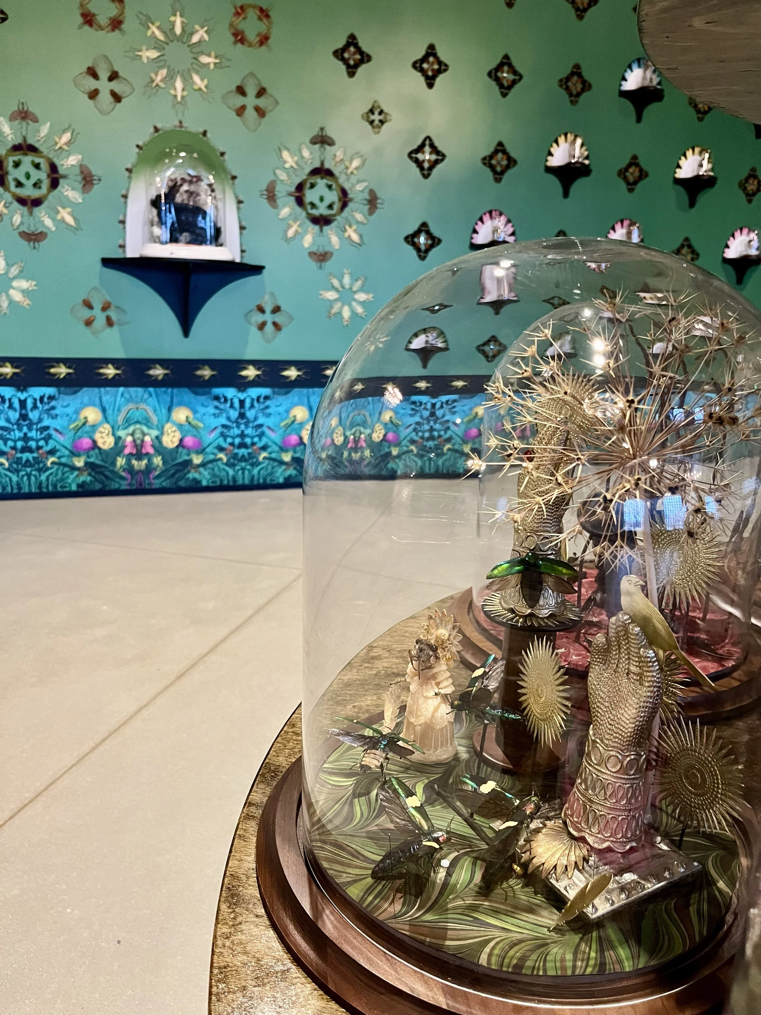 Work — Jennifer Angus