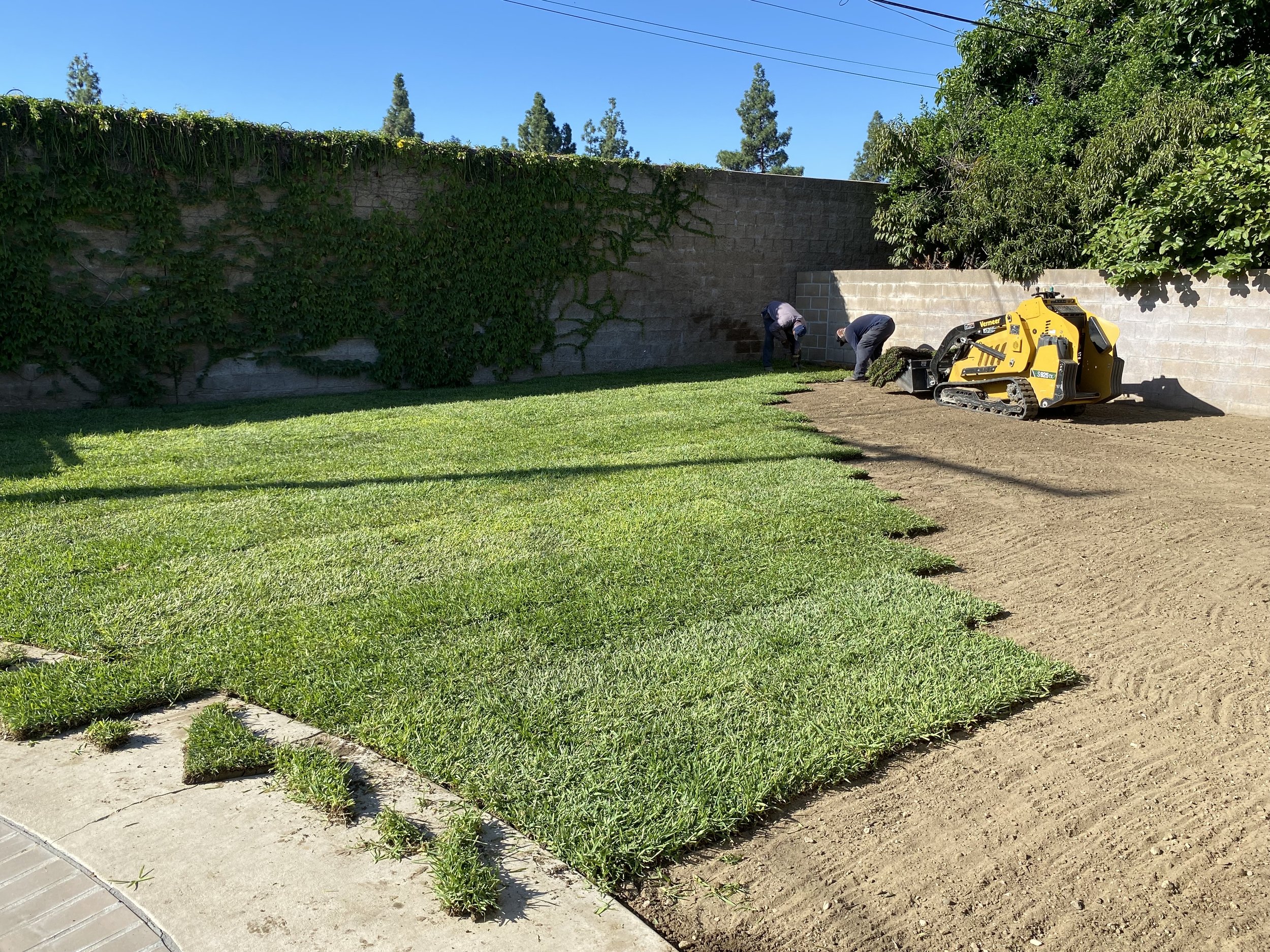 Lawn Care Near Montclair, CA