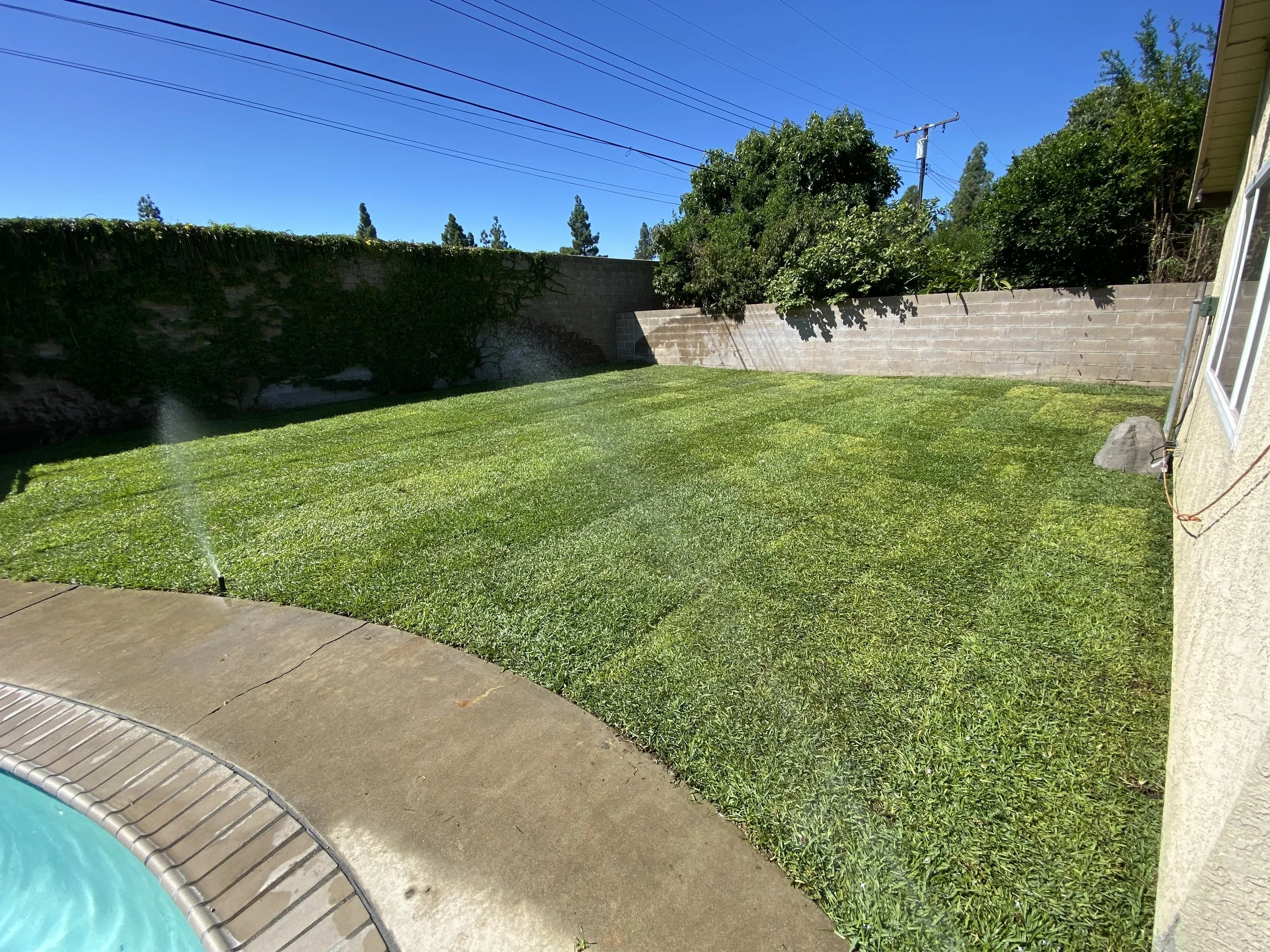 Lawn Care Near Montclair, CA