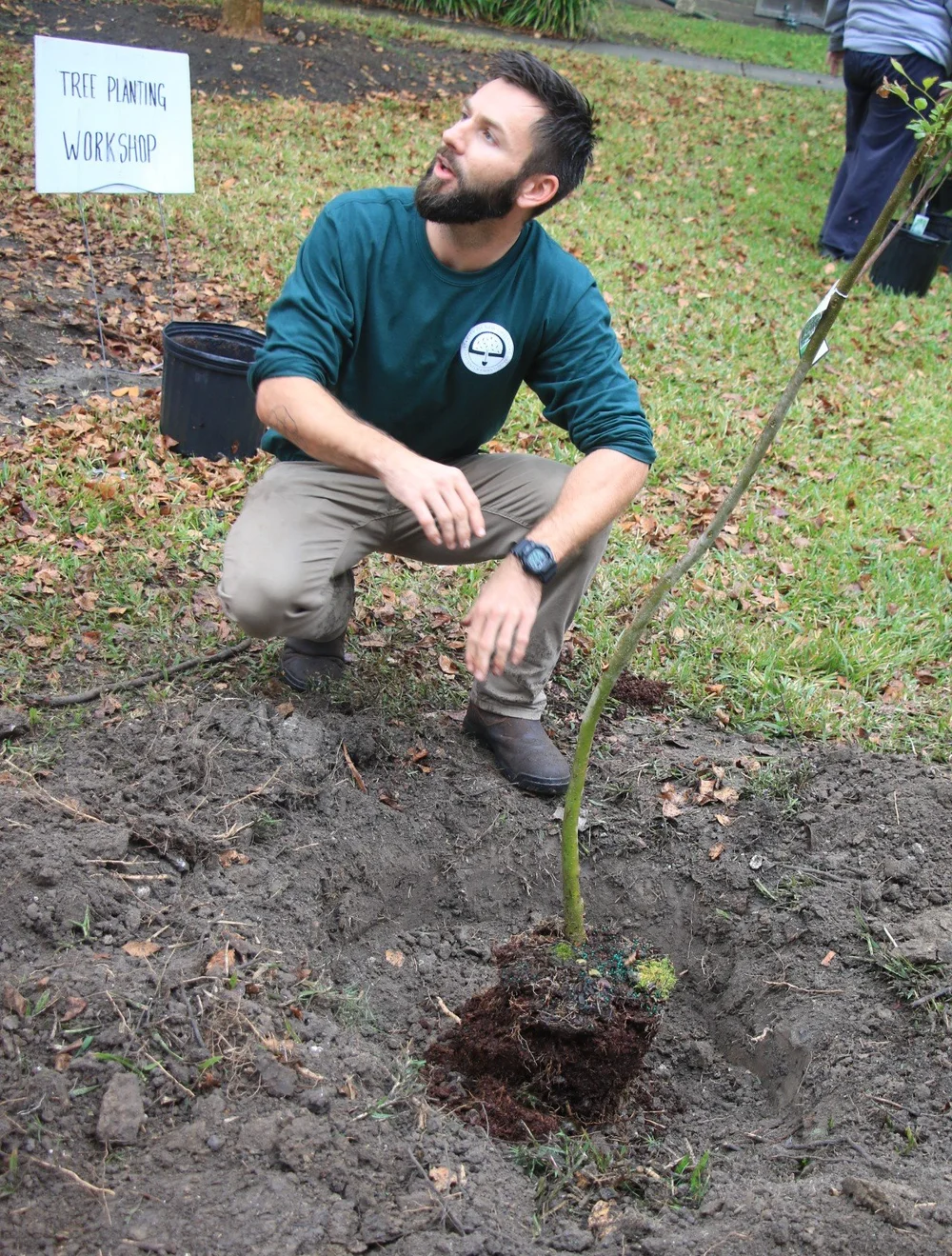 OUR IMPACT — Nola Tree Project