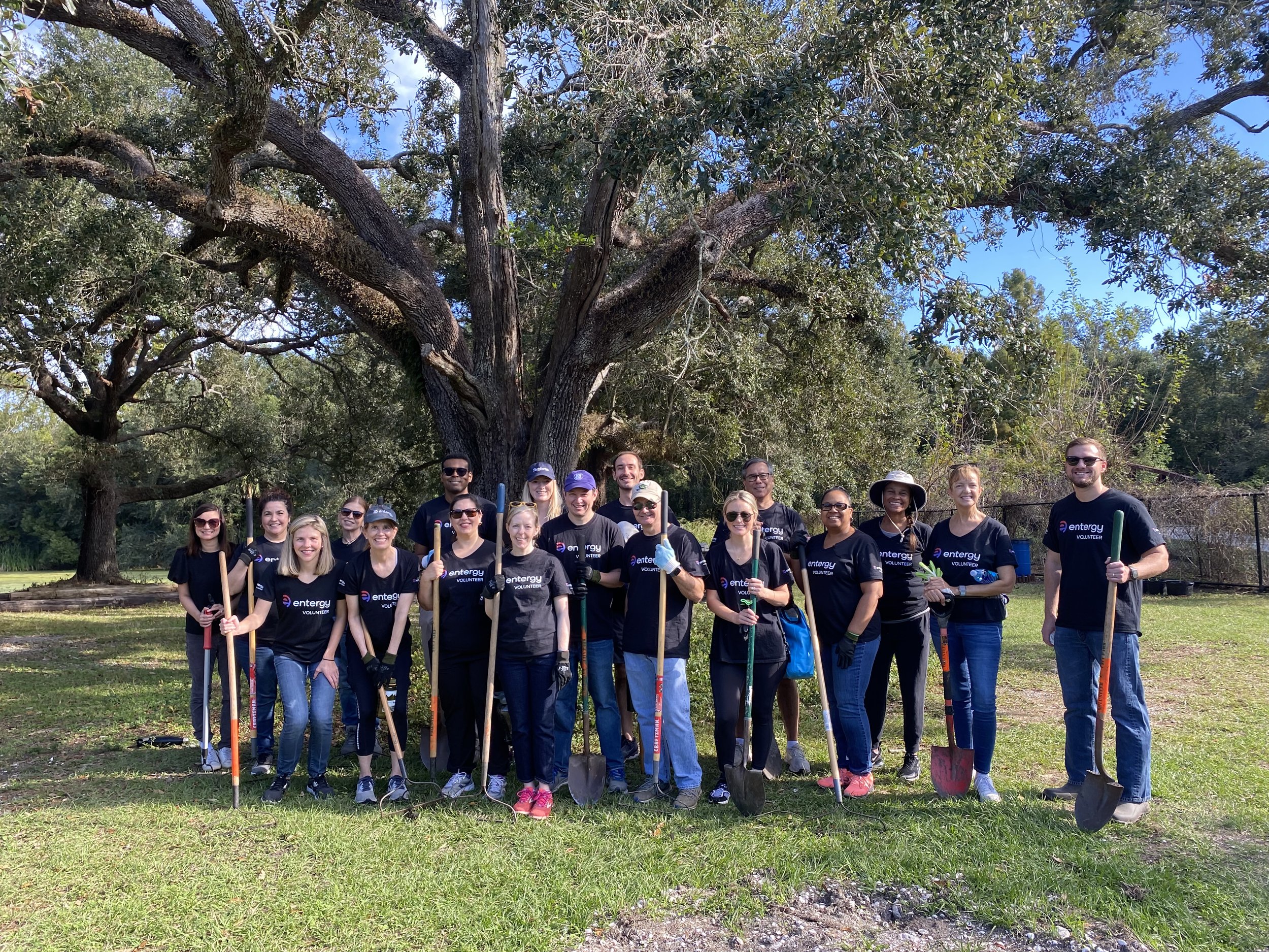 Nola Tree Project