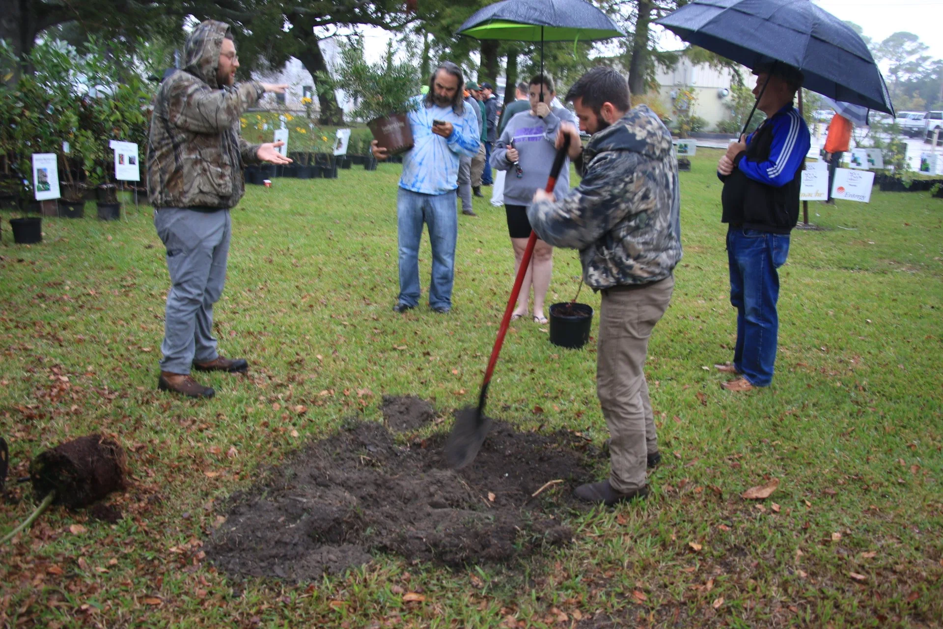 VOLUNTEER — Nola Tree Project