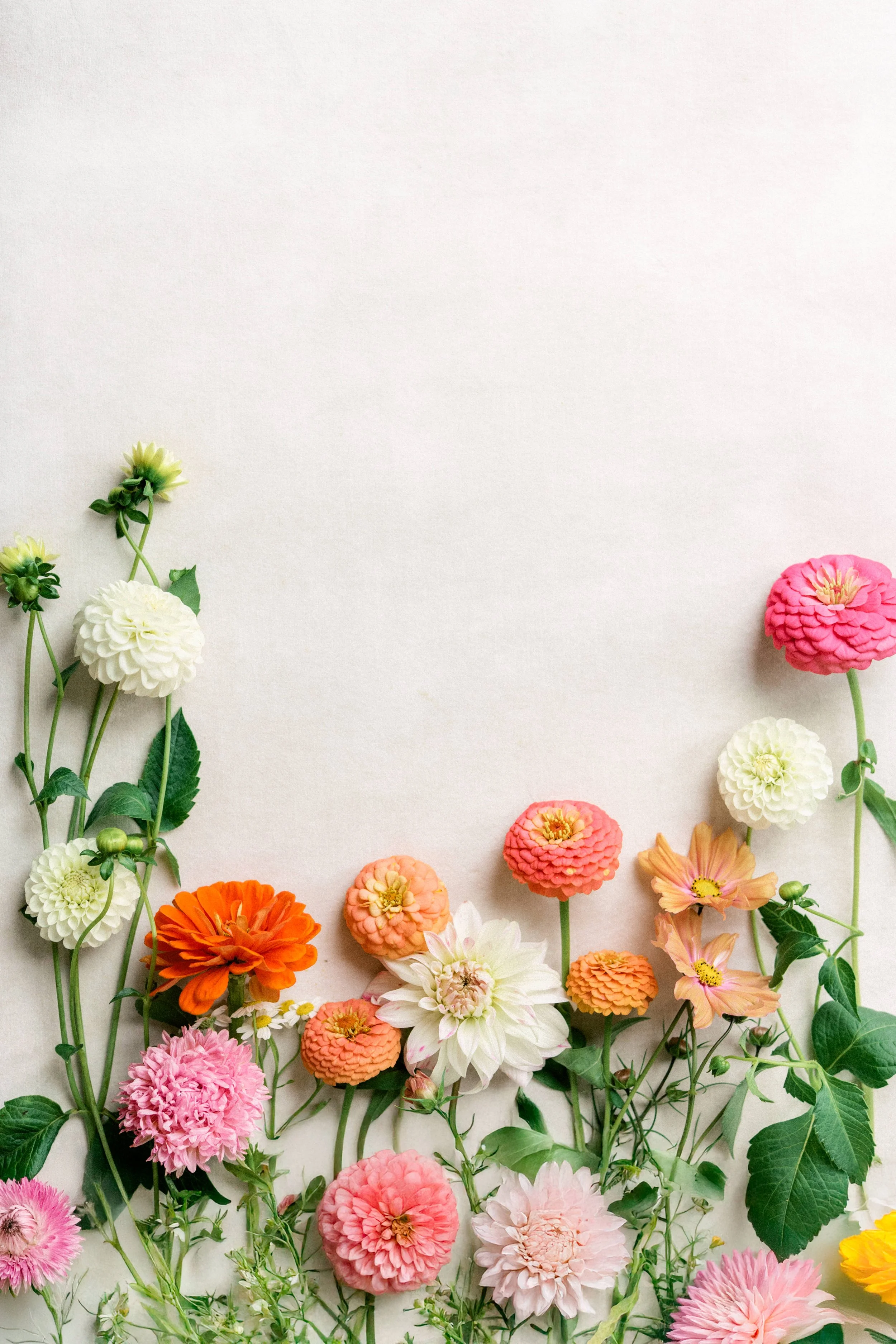 Sustainability Ethos | Moneygorm Farm Wedding Flowers — Moneygorm ...