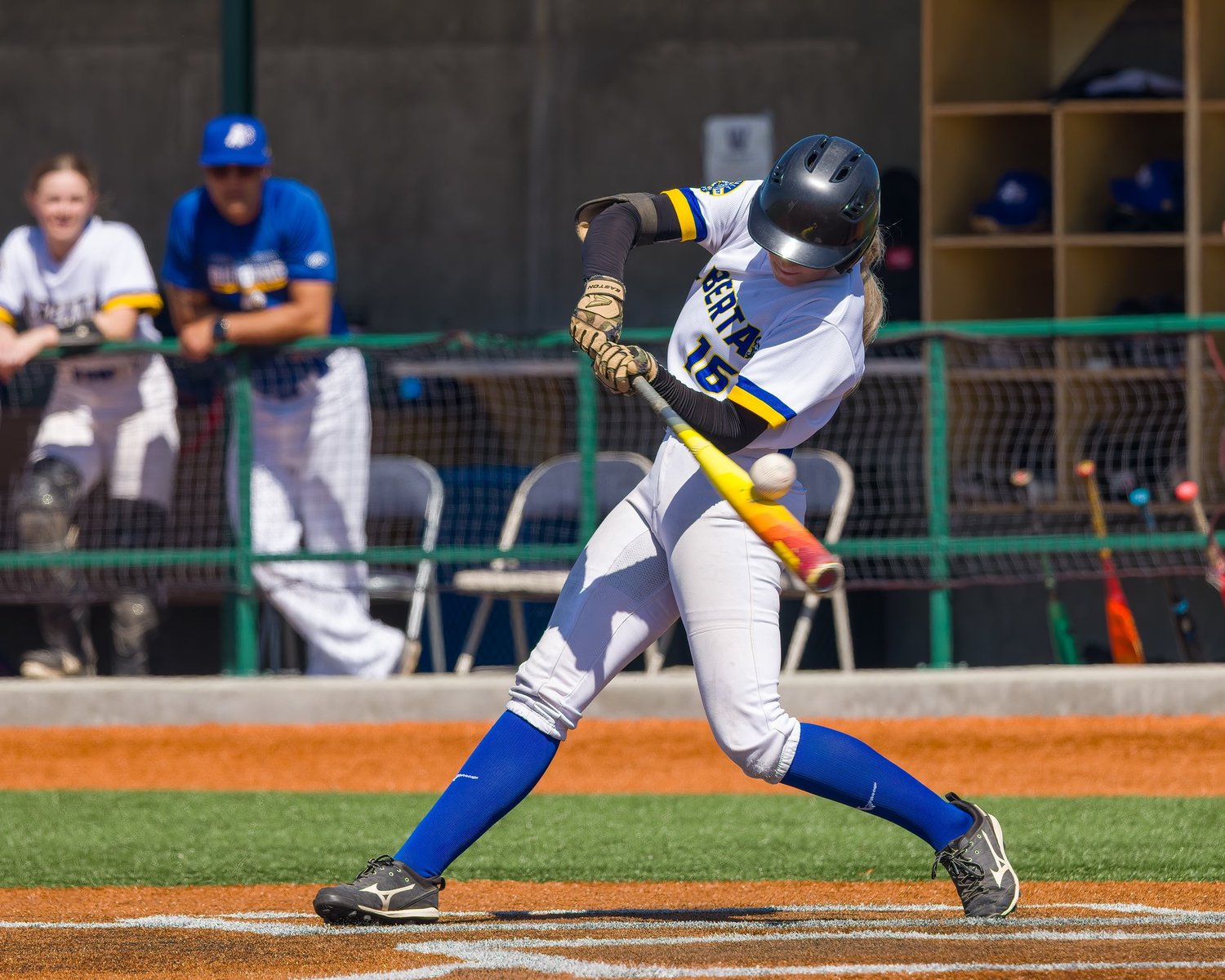 Tournaments | Join Exciting Tournaments Now — Webber Wildcats
