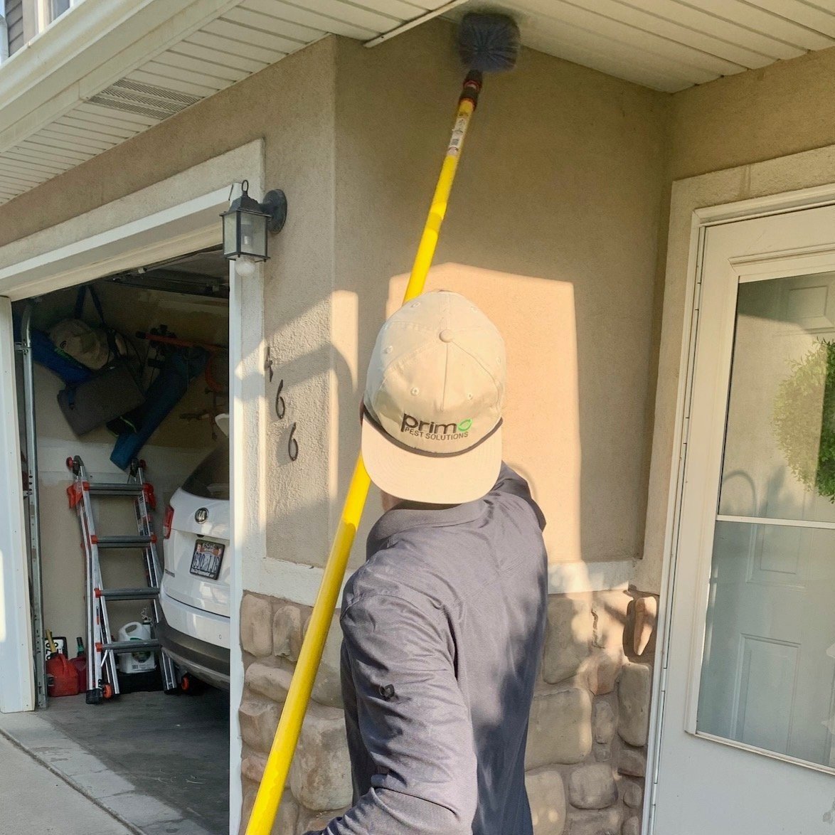 Pest Control in North Salt Lake | Spider, Bed Bug, Roach & Rodent ...