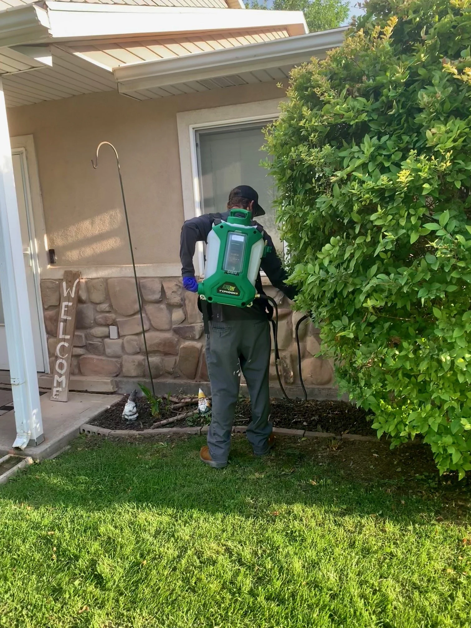 Pest Control in North Salt Lake | Spider, Bed Bug, Roach & Rodent ...