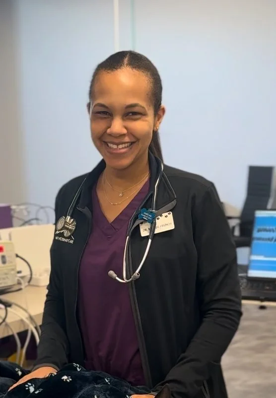 Our Team — Summit Veterinary Care