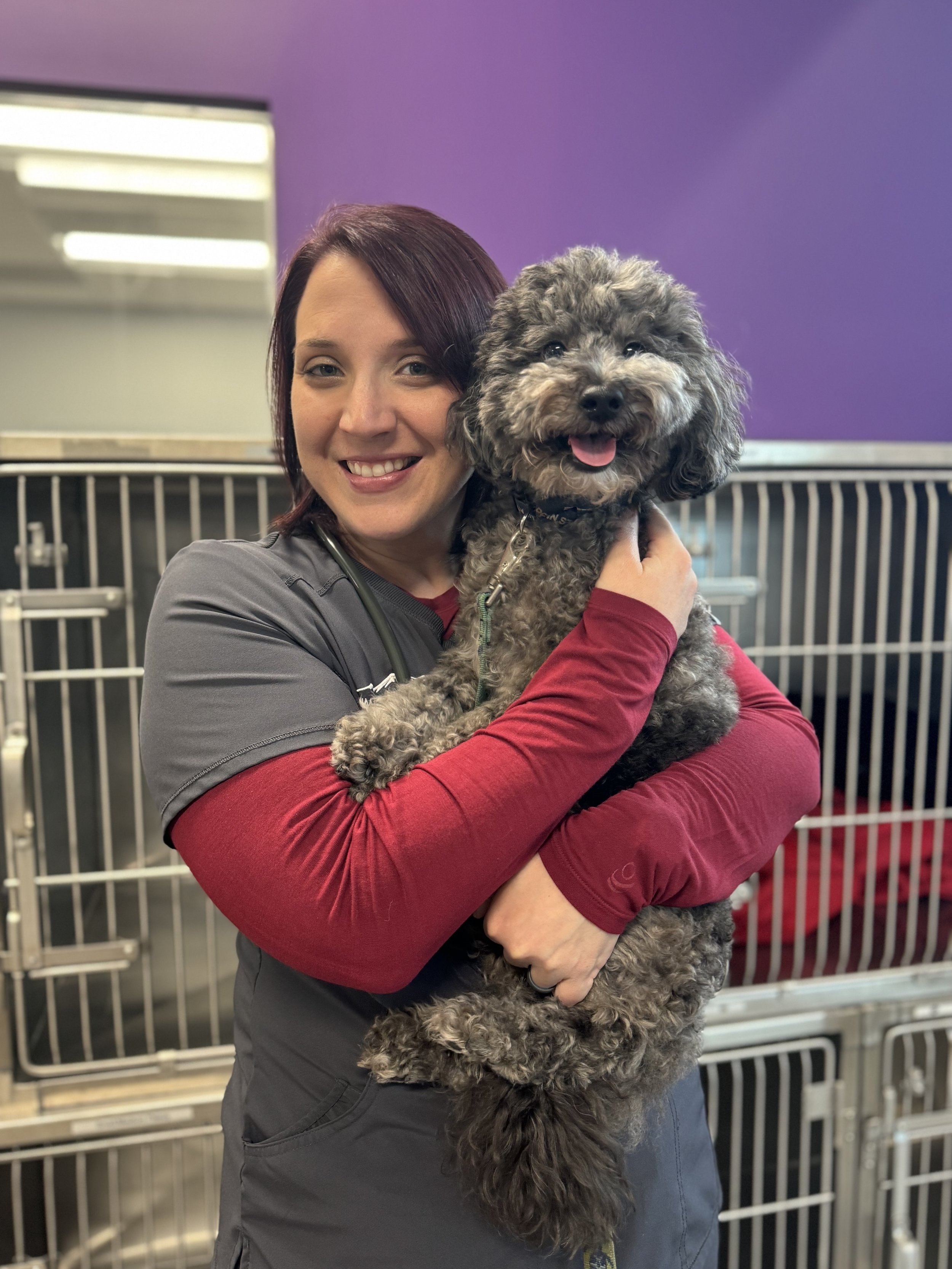 Our Team — Summit Veterinary Care