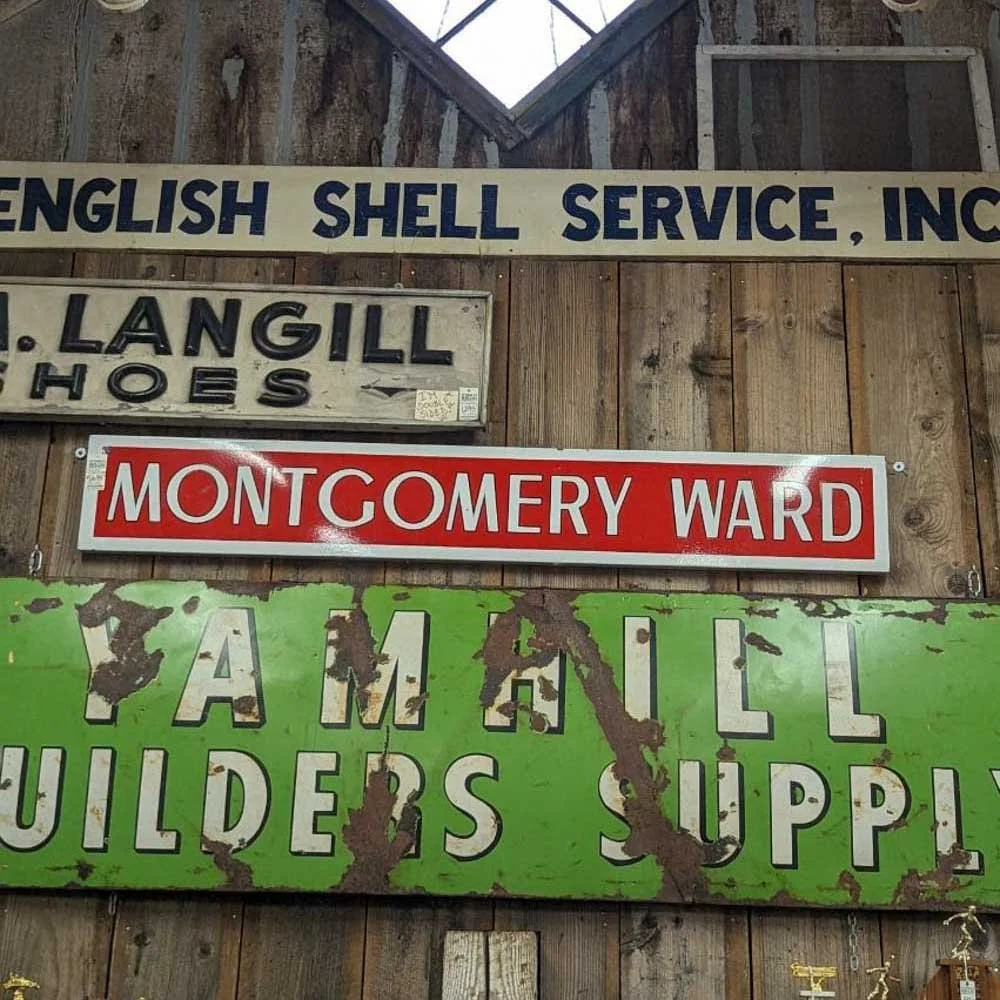 Jeweled Spaghetti Light — Aurora Mills