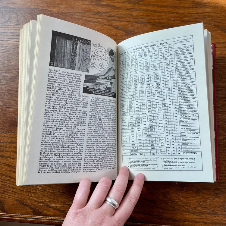 Jeweled Spaghetti Light — Aurora Mills