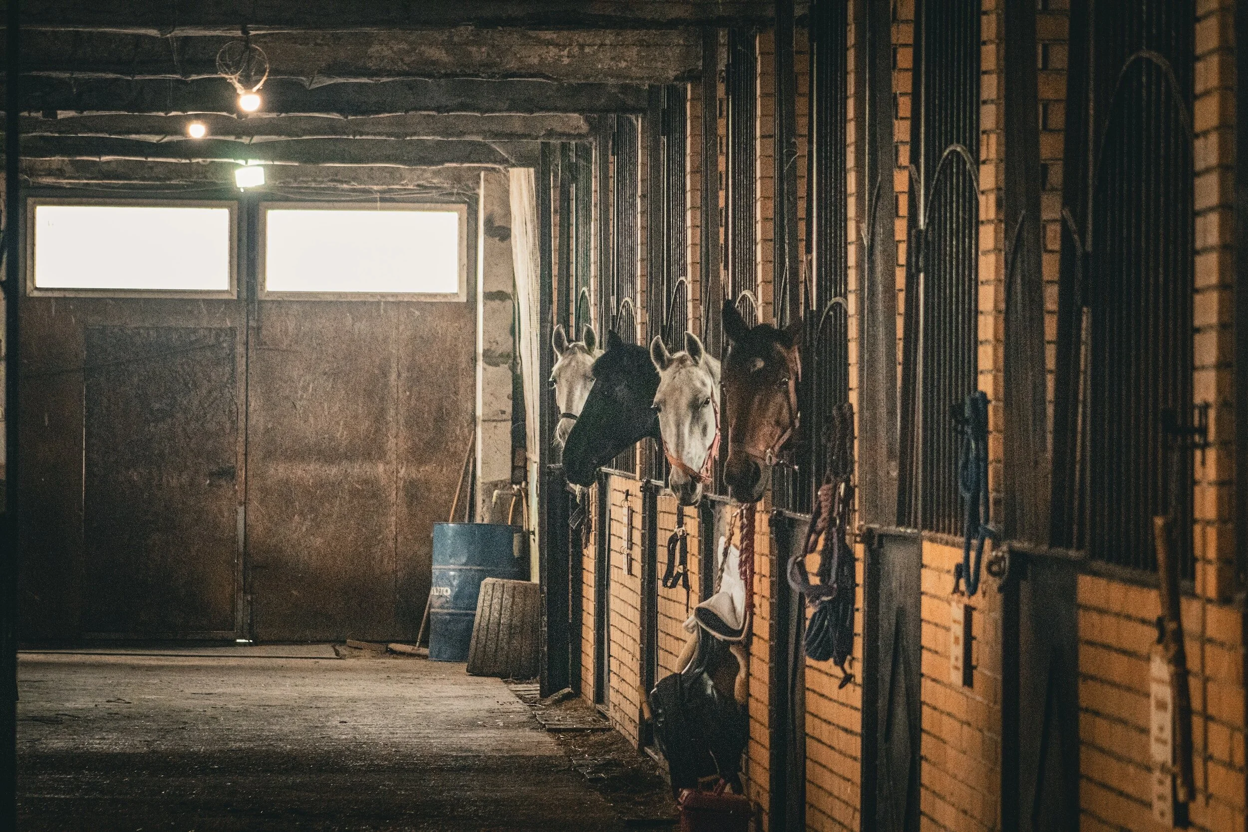 Services 1 — Agape Ranch