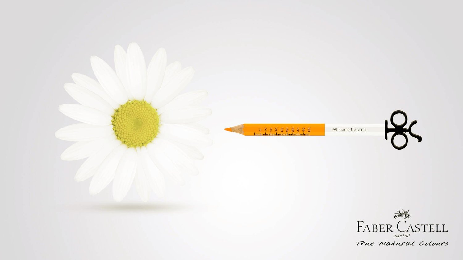 Bold & Bright Colors: How High-Contrast Visuals Are Shaping Modern ...