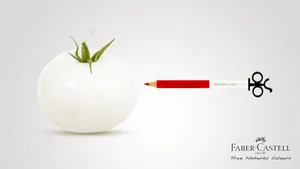 Bold & Bright Colors: How High-Contrast Visuals Are Shaping Modern ...