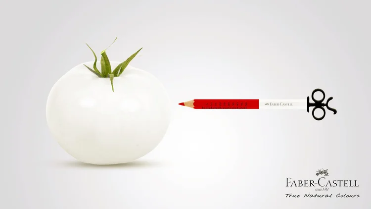 Bold & Bright Colors: How High-Contrast Visuals Are Shaping Modern ...