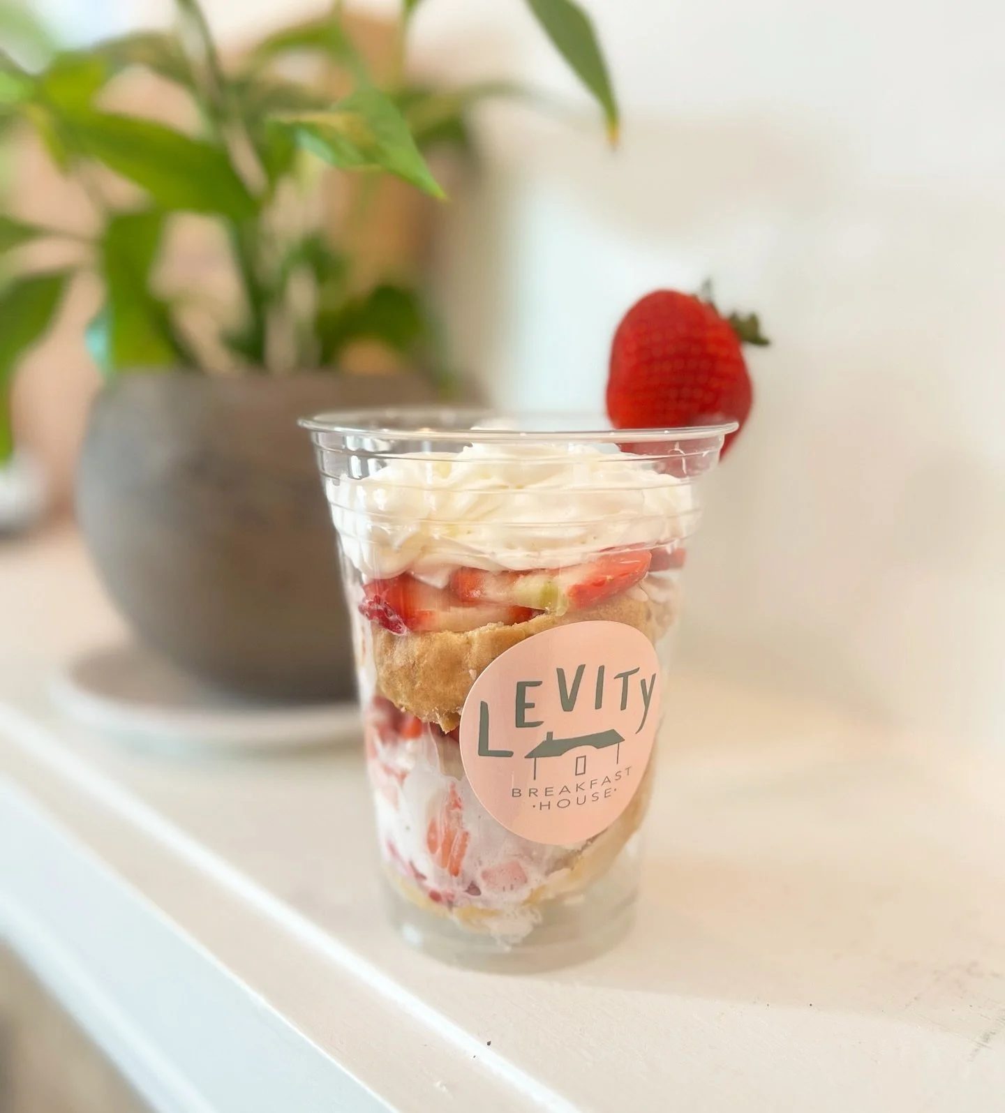 Levity Breakfast House