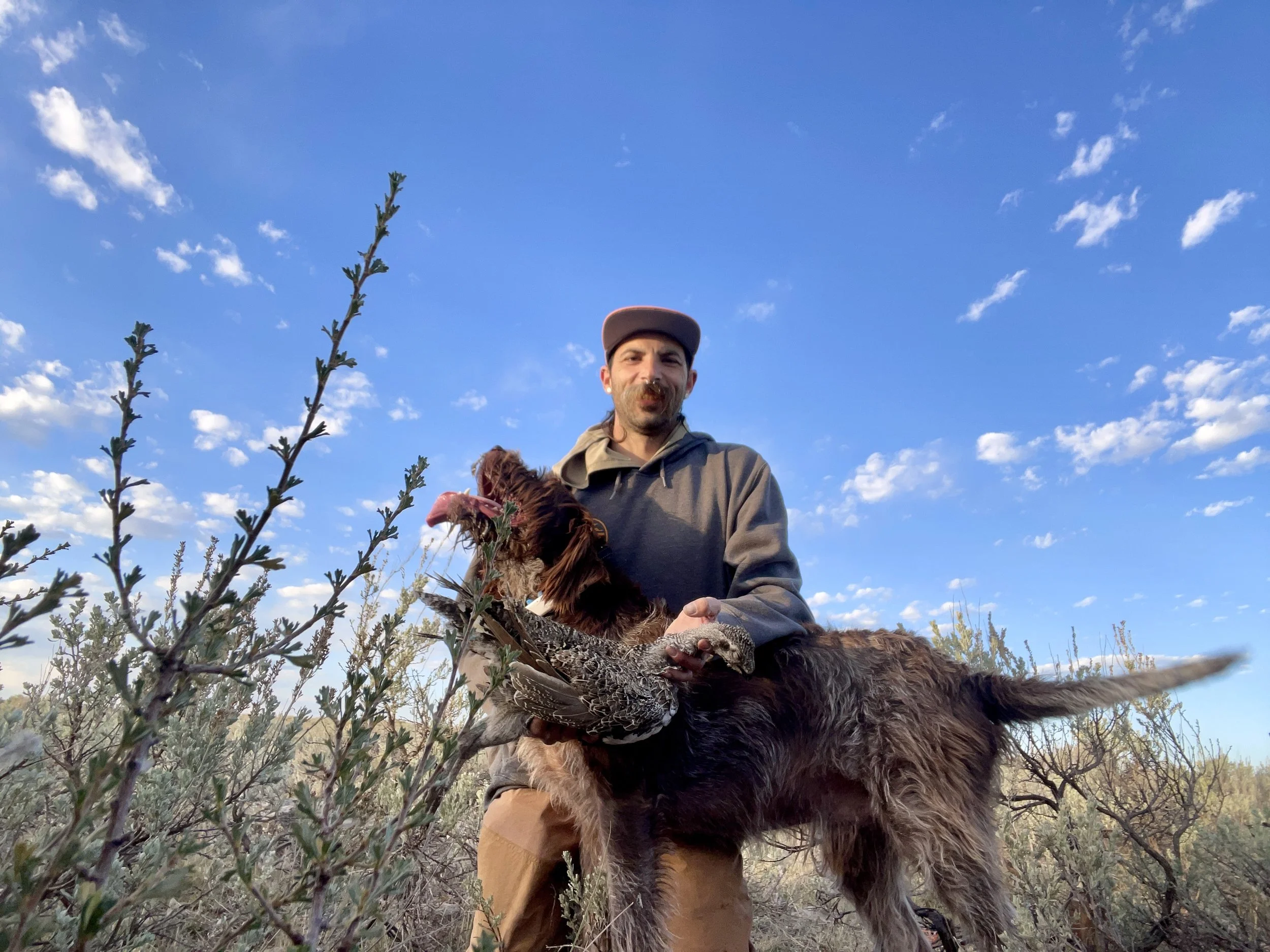 Wild Sage Country — Sporting Lead-Free