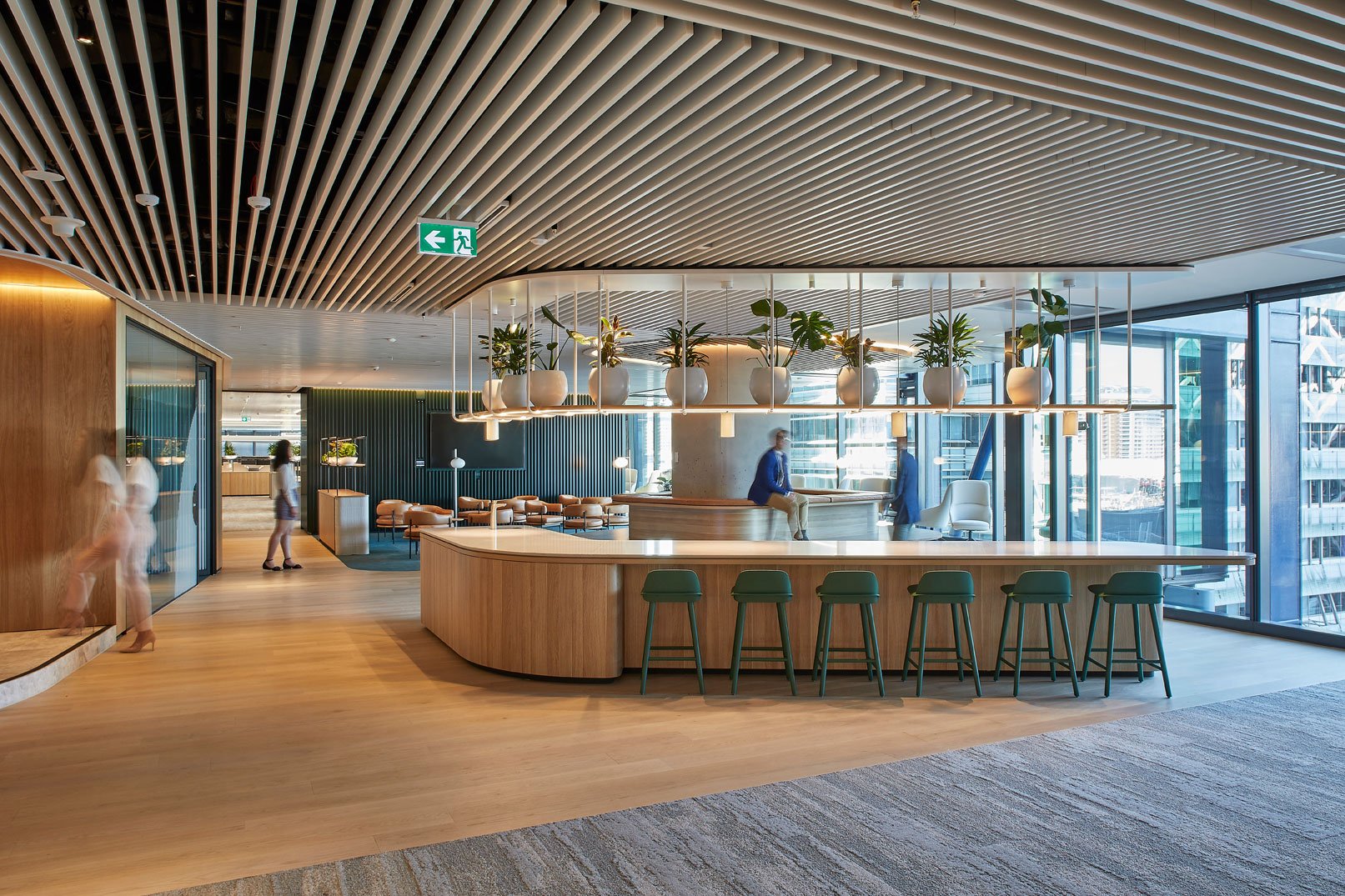 Nettleton Tribe First Sentier Baranagroo — Tyrone Branigan Productions