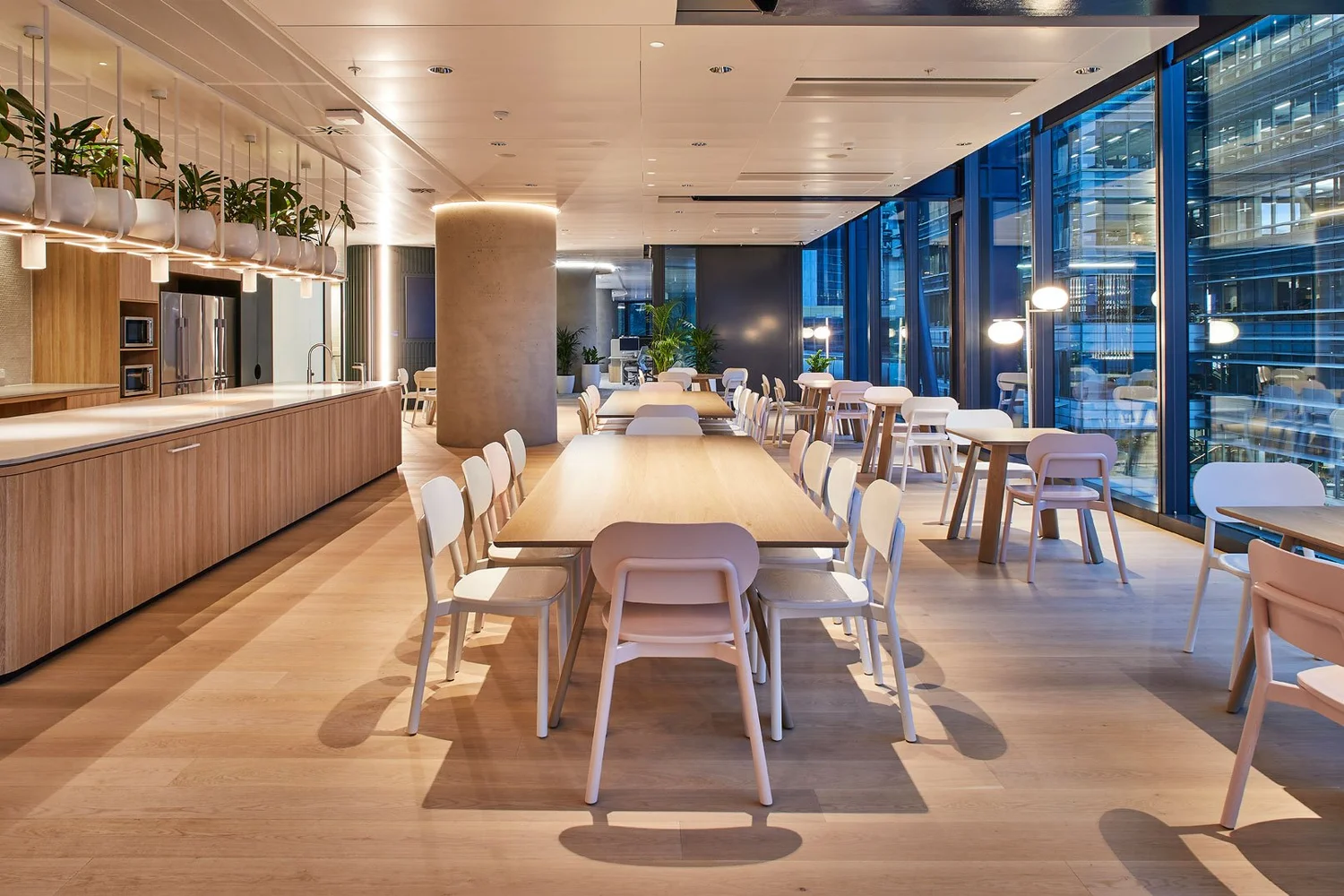 Nettleton Tribe First Sentier Baranagroo — Tyrone Branigan Productions