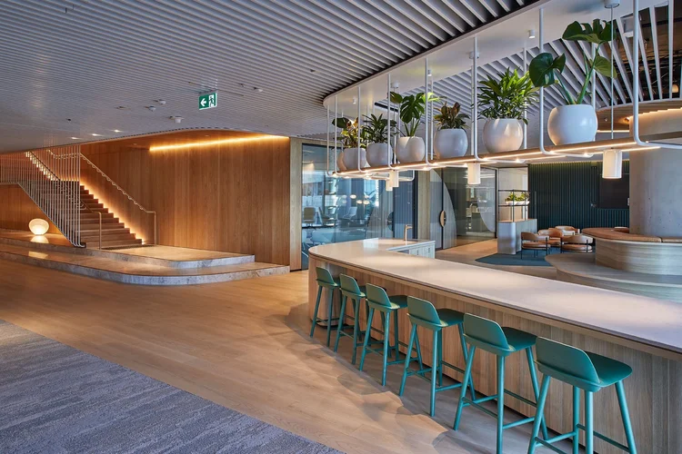 Nettleton Tribe First Sentier Baranagroo — Tyrone Branigan Productions