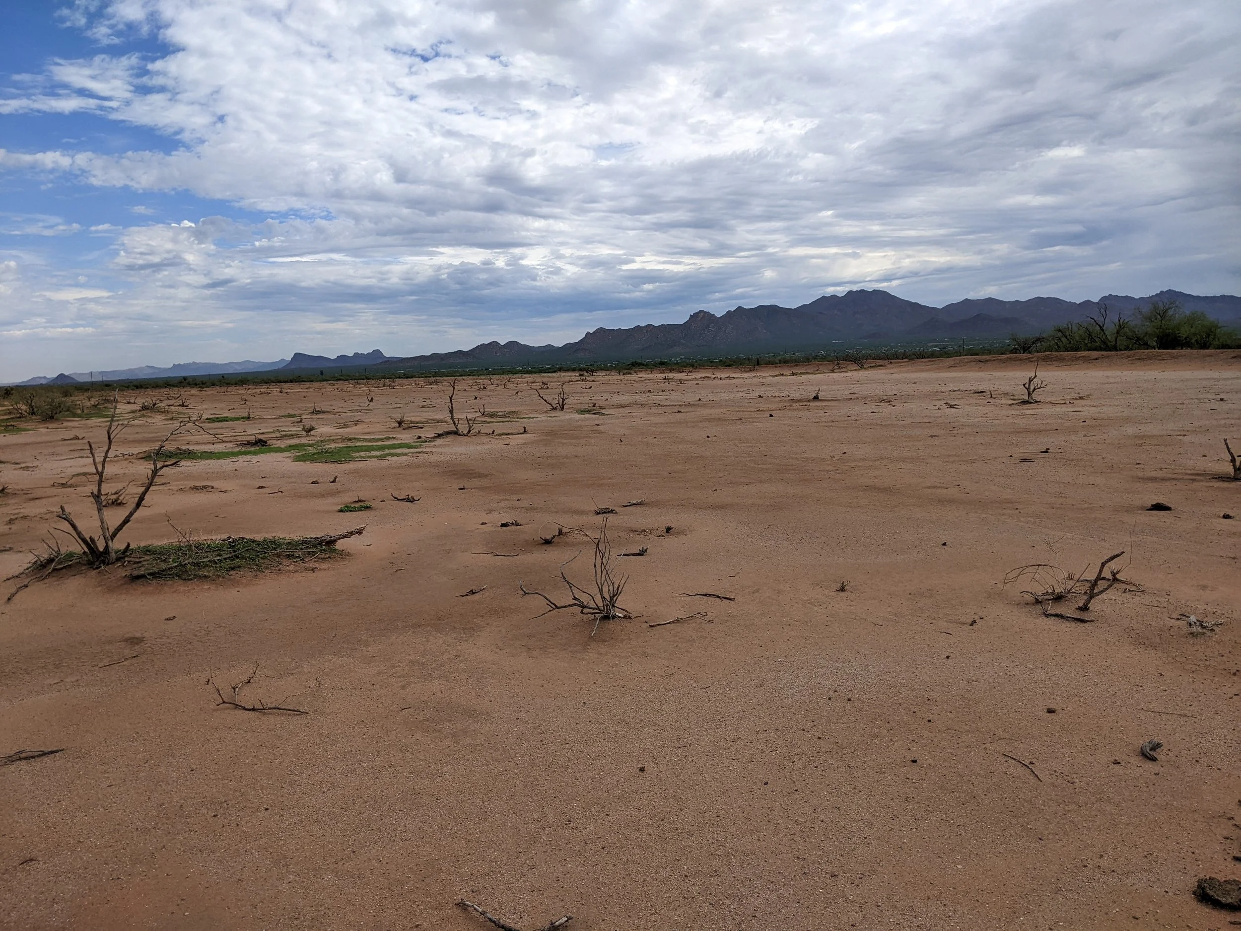 Brawley Wash Watershed Plan — Wilder Landscape Architects