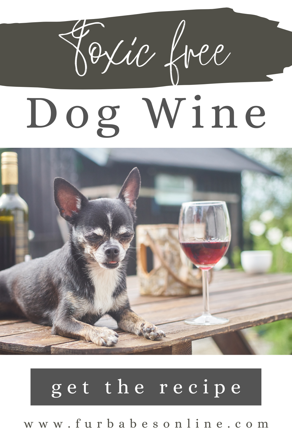 Dogs Wine
