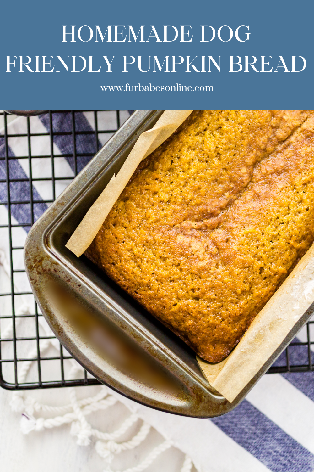 Homemade Dog-Friendly Pumpkin Bread | Fur Babes Online