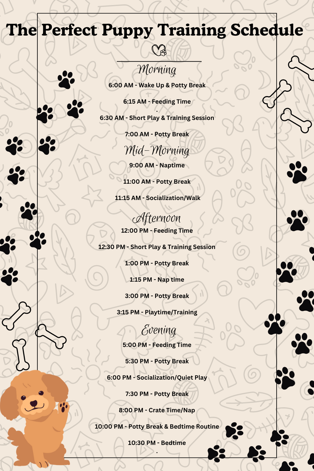 Puppy Training Schedule | Fur Babes Online