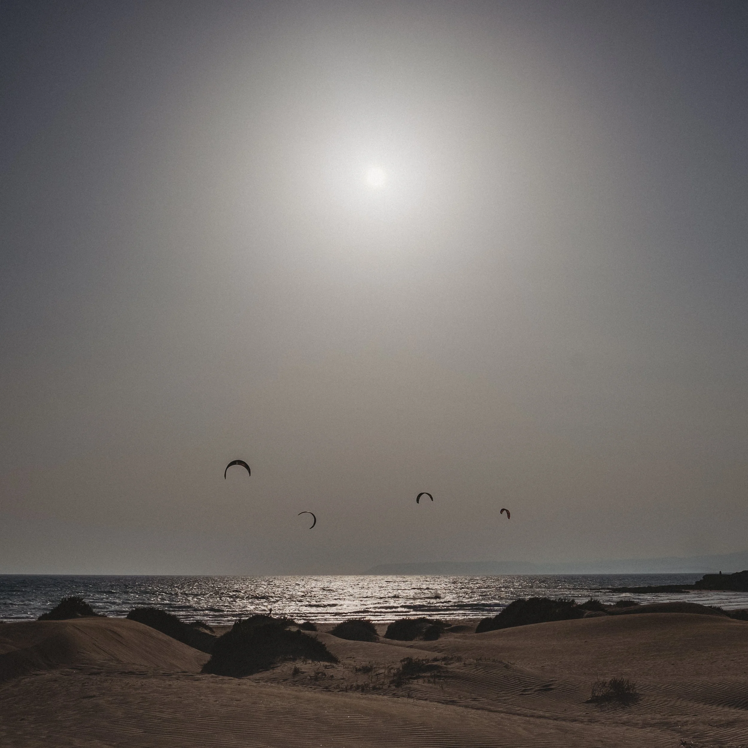 Brendan & Katarzyna's Enchanting Lexeko Estate Wedding: A Fusion of ...