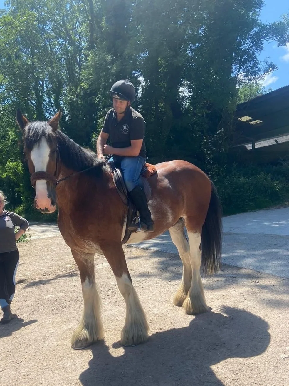 Sandford Stables horses — Sandford Stables (Prev. Woodhouse Farm Stables)