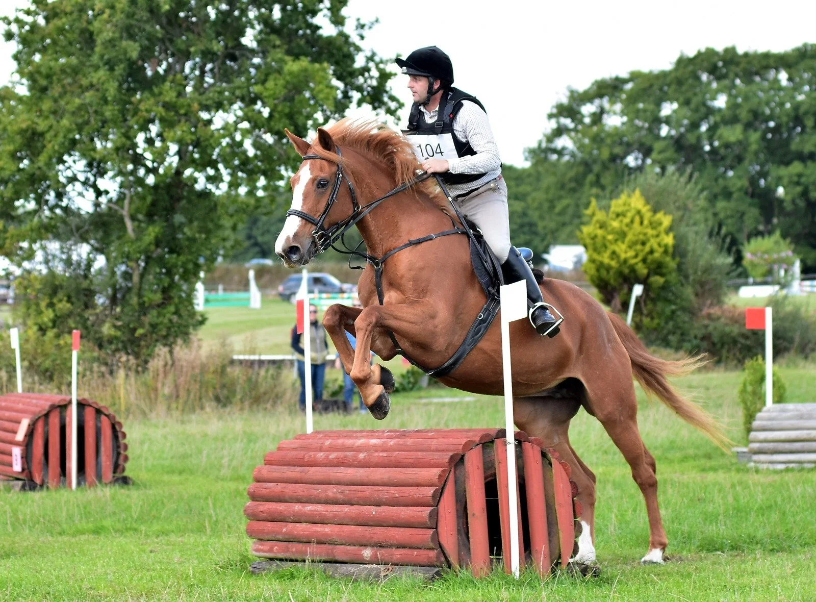 Sandford Stables horses — Sandford Stables (Prev. Woodhouse Farm Stables)