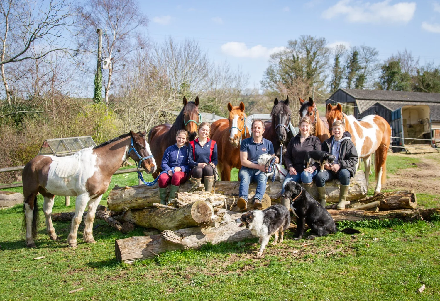 Sandford Stables (Prev. Woodhouse Farm Stables)
