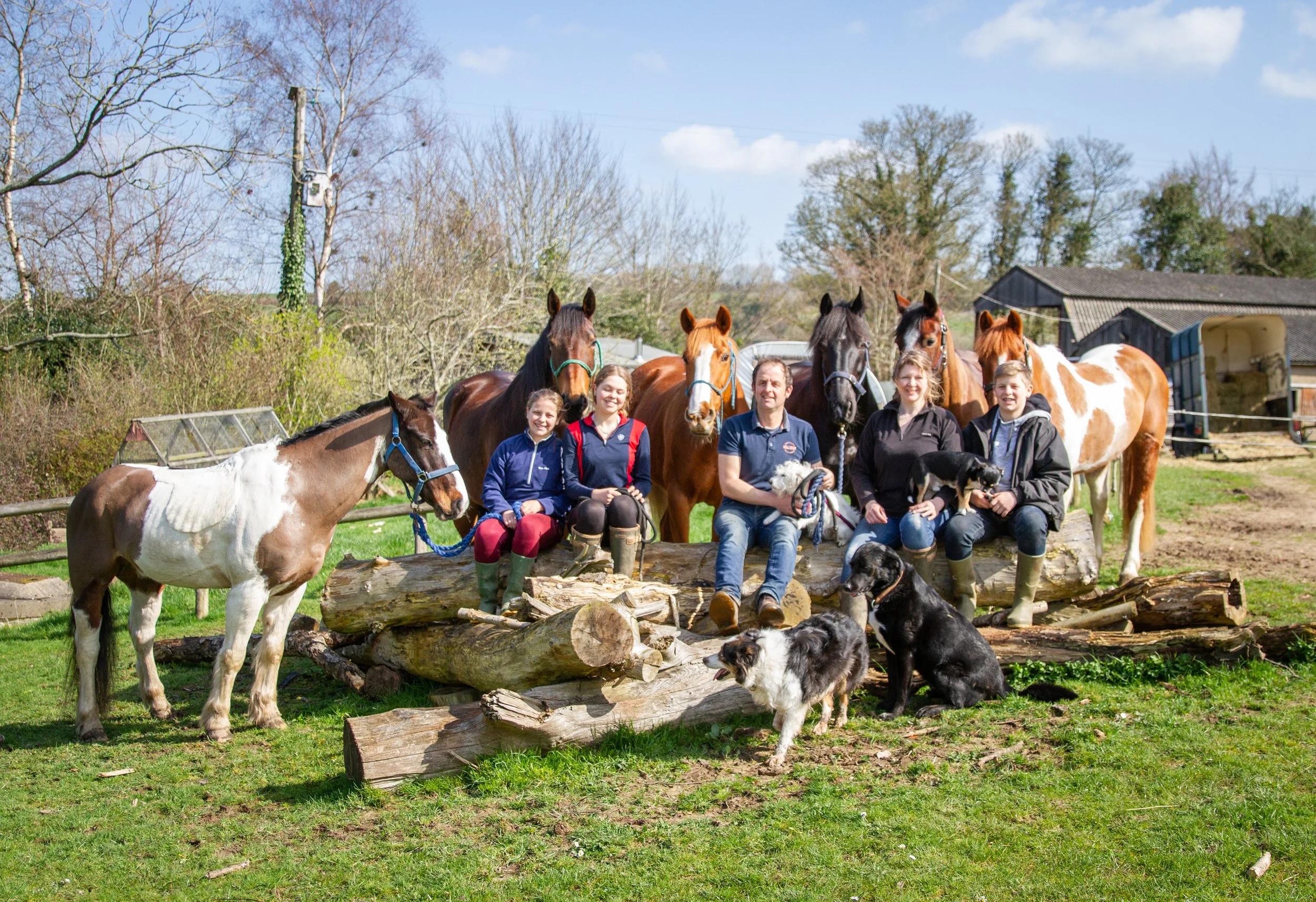 Sandford Stables (Prev. Woodhouse Farm Stables)