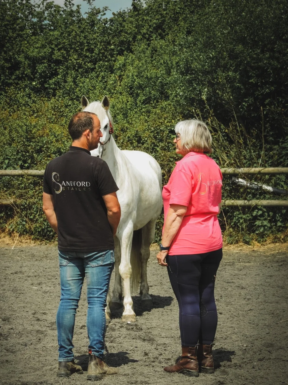 Sandford Stables (Prev. Woodhouse Farm Stables)